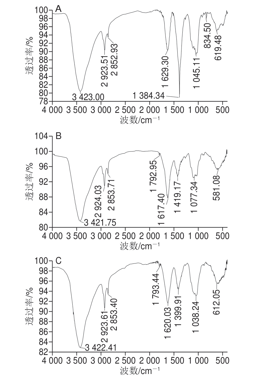 沙棘多糖分离纯化及抗氧化活性