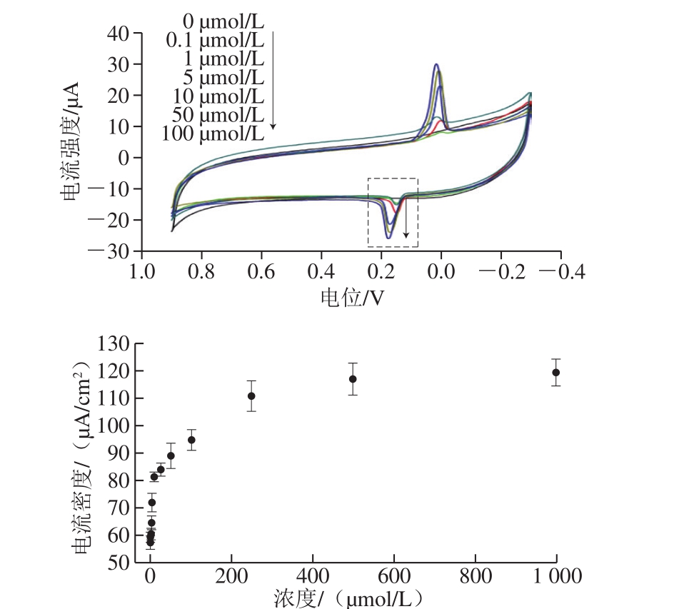 基于Fe 3 O 4 -PGA@Au 构建无酶电化学生物传感器检测葡萄糖