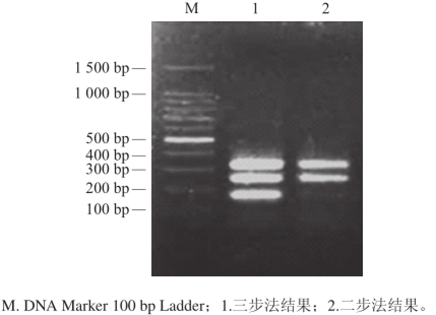 3 种食源性致病菌Tem-PCR检测方法的建立